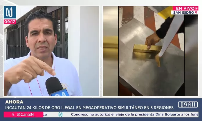 24 kilos de oro ilegal fueron incautados en megaoperativo | Canal N