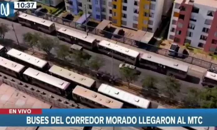 Buses del Corredor Morado llegaron a la sede del MTC | Canal N