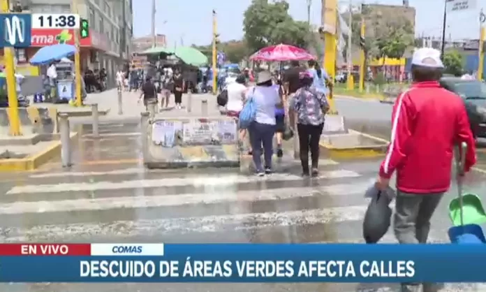 Comas: Rotura de tubería pone en serio riesgo áreas verdes | Canal N