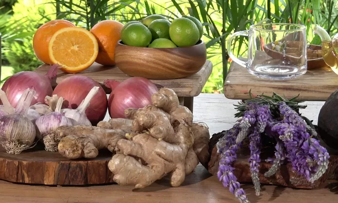 COVID - 19 : Cuida tus vías respiratorias en este verano | Canal N