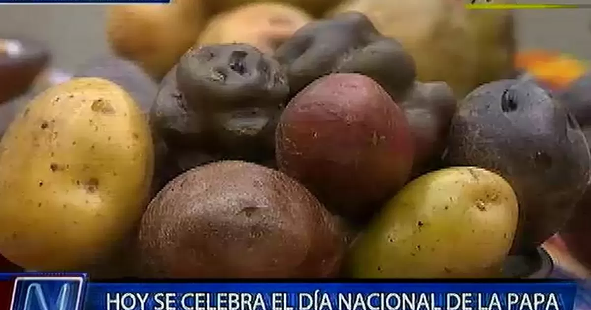 Día nacional de la papa: conozca algunas de las cinco mil variedades ...