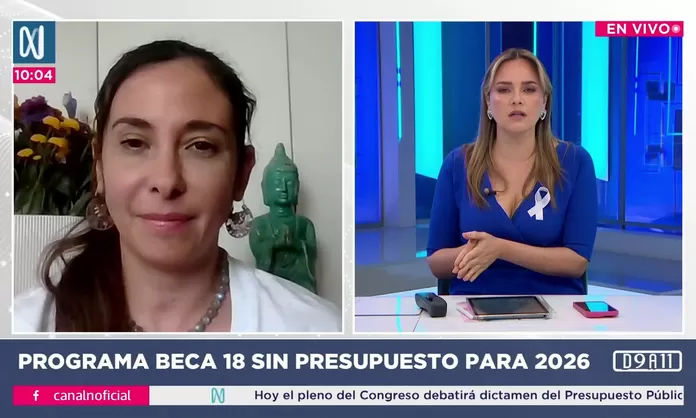 Exdirectora de PRONABEC: MEF no priorizó becas por error técnico | Canal N