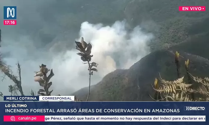 Incendio arrasó área de conservación en Amazonas | Canal N