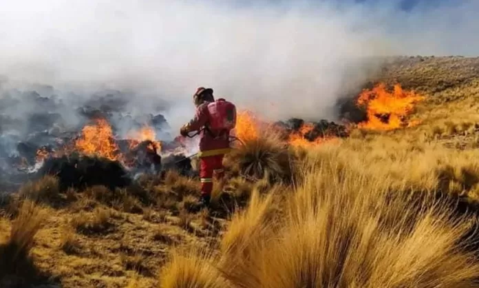 Incendios forestales: Así se desarrolla la emergencia en el Perú | Canal N