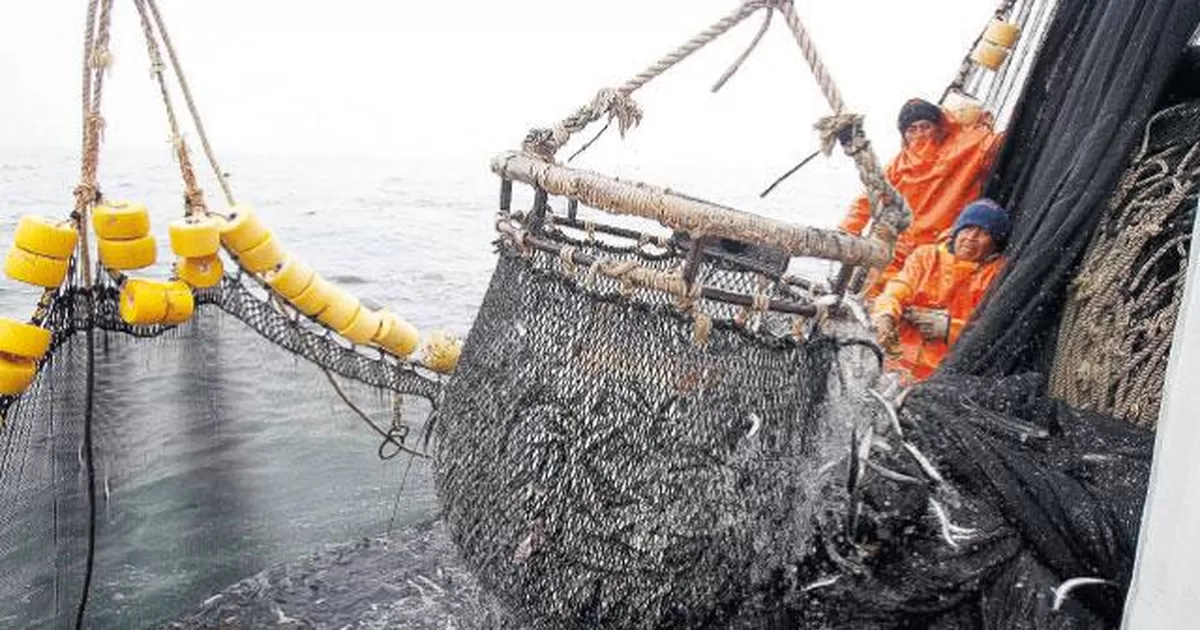 Industria peruana crecerá hasta 4% en el 2015, según el Produce | Canal N