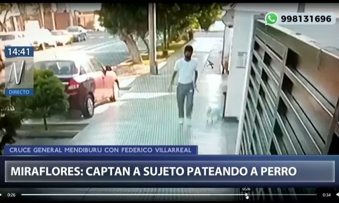 Miraflores: Captan a sujeto pateando a un perro mientras lo paseaba ...