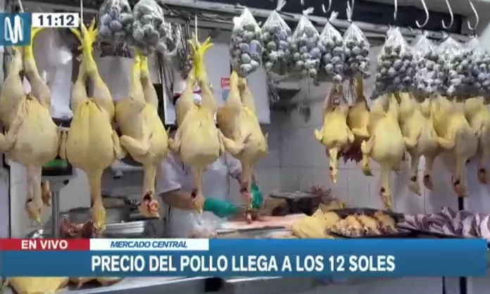 Precio del kilo de Pollo llega hasta los S/12 en mercados de Lima | Canal N