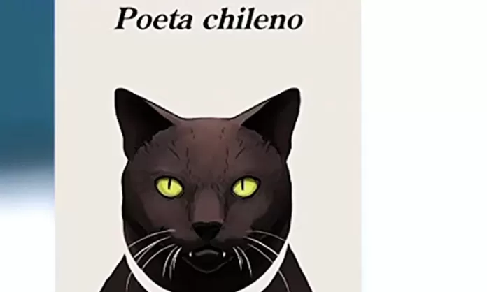 Tiempo de Leer: Te recomendamos Poeta chileno, de Alejandro Zambra ...