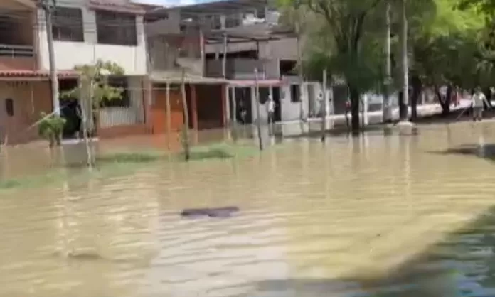 Calles De Piura Permanecen Inundadas Tras Intensas Lluvias Canal N